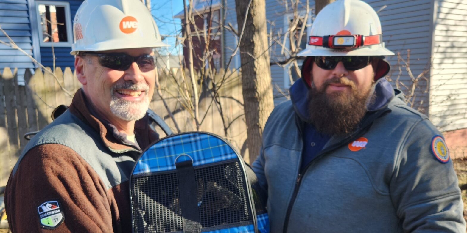 Home - We Energies News